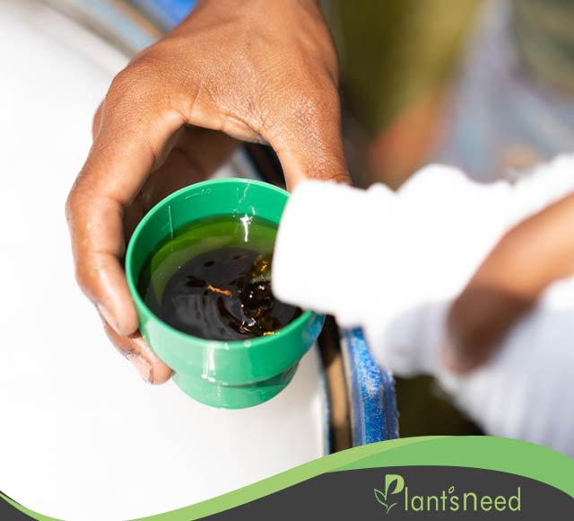 مقدار مصرف اسید هیومیک برای هر درخت 🌱 | نیاز گیاهان